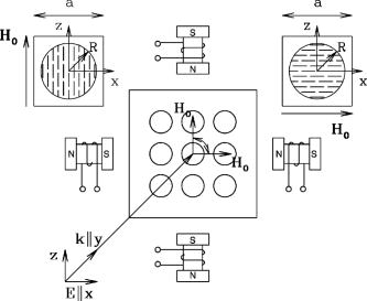 Magneto-optical features and extraordinary light transmission through ...