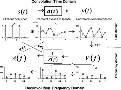 Signal-to-noise ratio and frequency analysis of continuous loop averaging deconvolution (CLAD ...