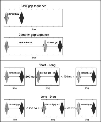Temporal Processing Deficits In The Pre Senescent Auditory System The