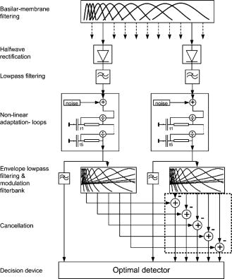 Modeling comodulation masking release using an equalization-cancellation mechanism | The Journal ...
