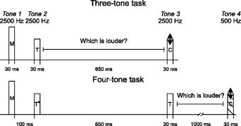 Loudness changes induced by a proximal sound: Loudness enhancement ...