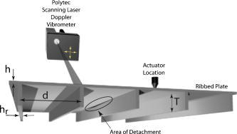 Detection and localization of rib detachment in thin metal and ...