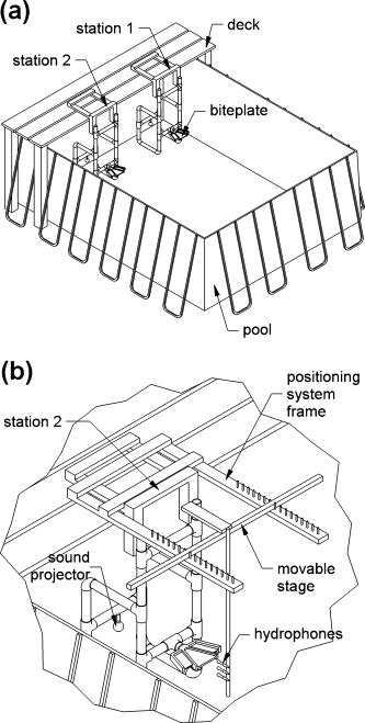 Underwater sound pressure variation and bottlenose dolphin (Tursiops ...