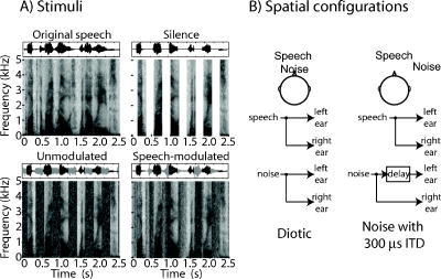 Influences of auditory object formation on phonemic restorationa) | The ...
