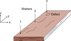 Defect detection and localization in orthotropic wood slabs by ...