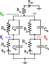 Effect of the cochlear microphonic on the limiting frequency of the ...