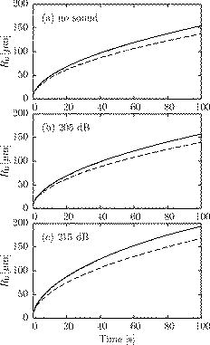Bubble growth by rectified diffusion at high gas supersaturation levels ...