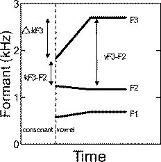 Perception and production of /r/ allophones improve with hearing from a ...