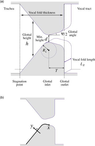 Low-dimensional models of the glottal flow incorporating viscous-inviscid interaction | The ...