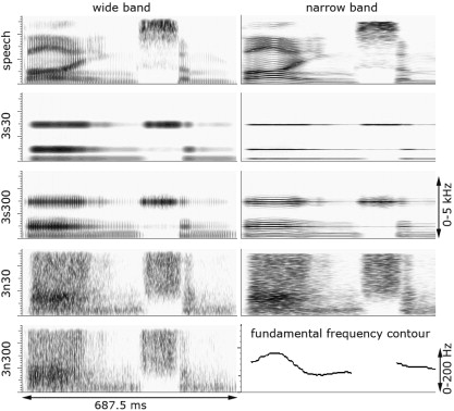 Effects of envelope bandwidth on the intelligibility of sine- and noise ...