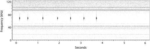 Acoustic characteristics of ultrasonic coded transmitters for fishery ...