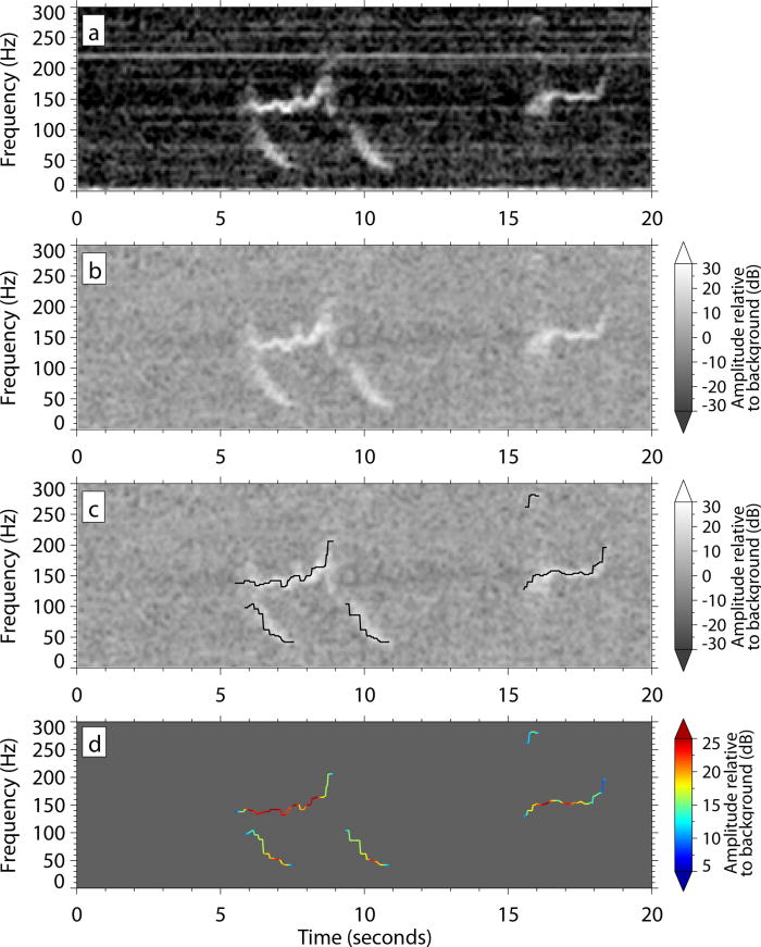 A generalized baleen whale call detection and classification system | The Journal of the ...