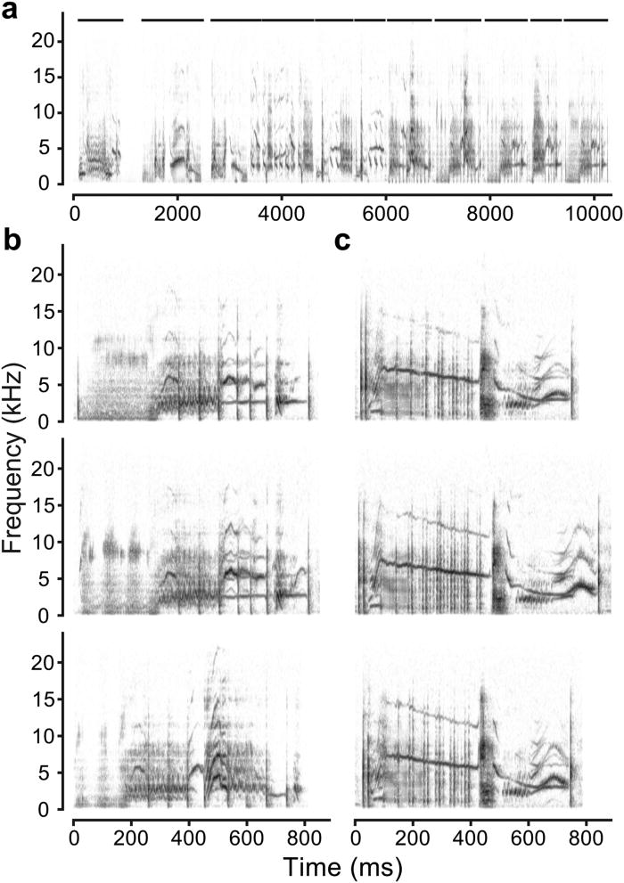 Effects of auditory recognition learning on the perception of vocal ...