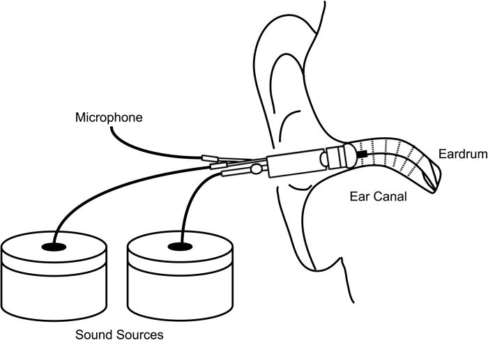 Inverse solution of ear-canal area function from reflectance | The ...