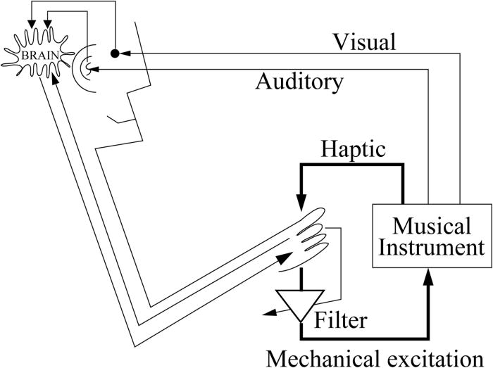 Feedback control of acoustic musical instruments: Collocated control ...