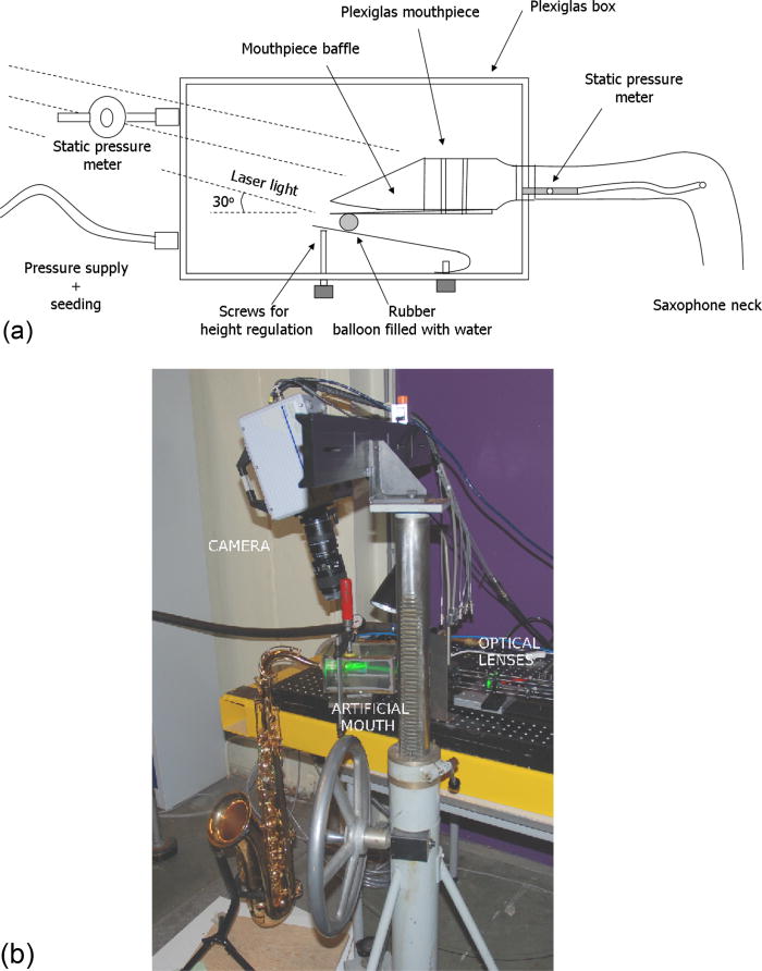 Experimental investigation of the flow inside a saxophone mouthpiece by ...
