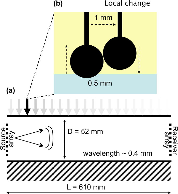 Sensitivity kernel for surface scattering in a waveguide | The Journal ...