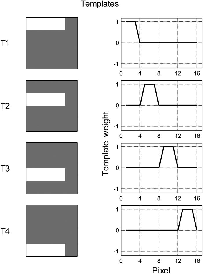 Measuring decision weights in recognition experiments with multiple response alternatives ...