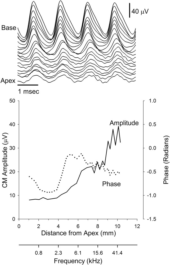Analysis of the cochlear microphonic to a low-frequency tone embedded ...