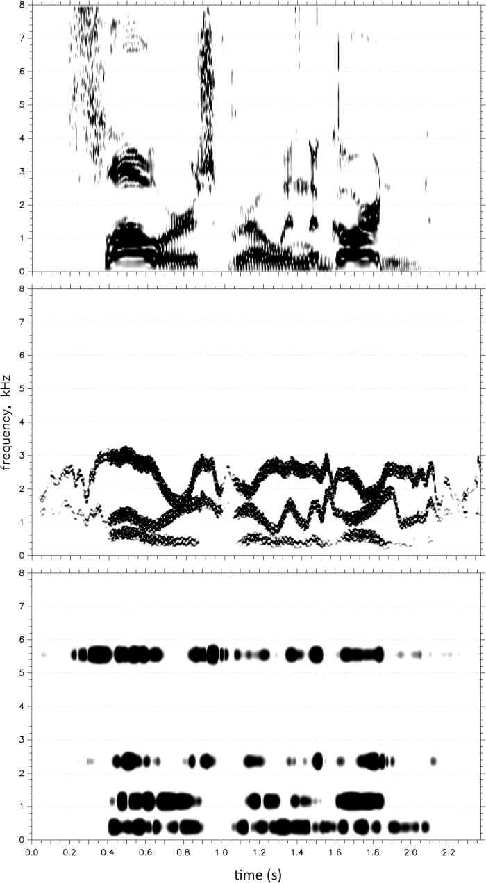 Children weight dynamic spectral structure more than adults: Evidence ...
