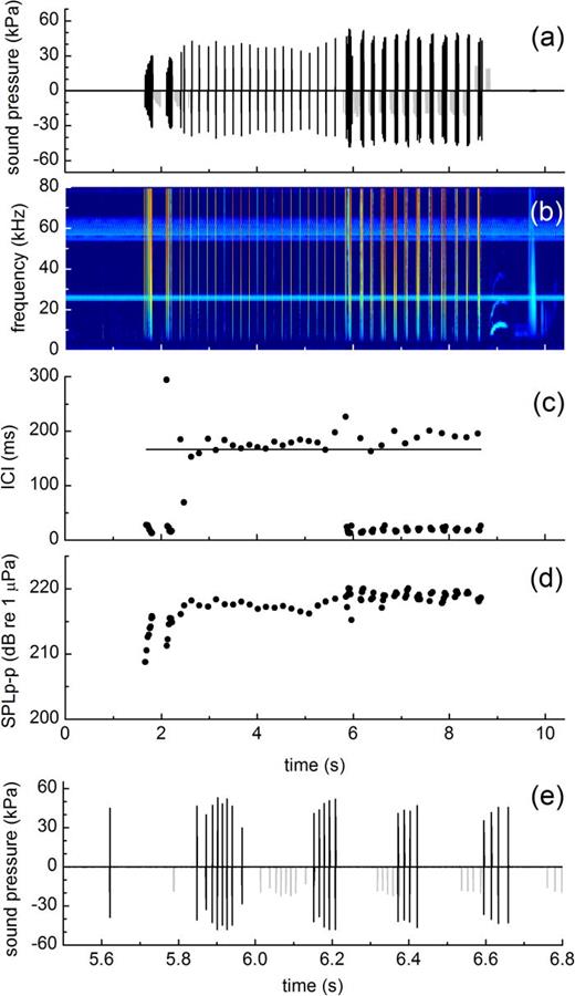 Dolphin “packet” use during long-range echolocation tasks | The Journal ...
