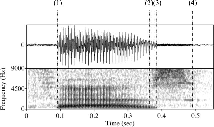 Durational cues to fricative codas in 2-year-olds' American English ...