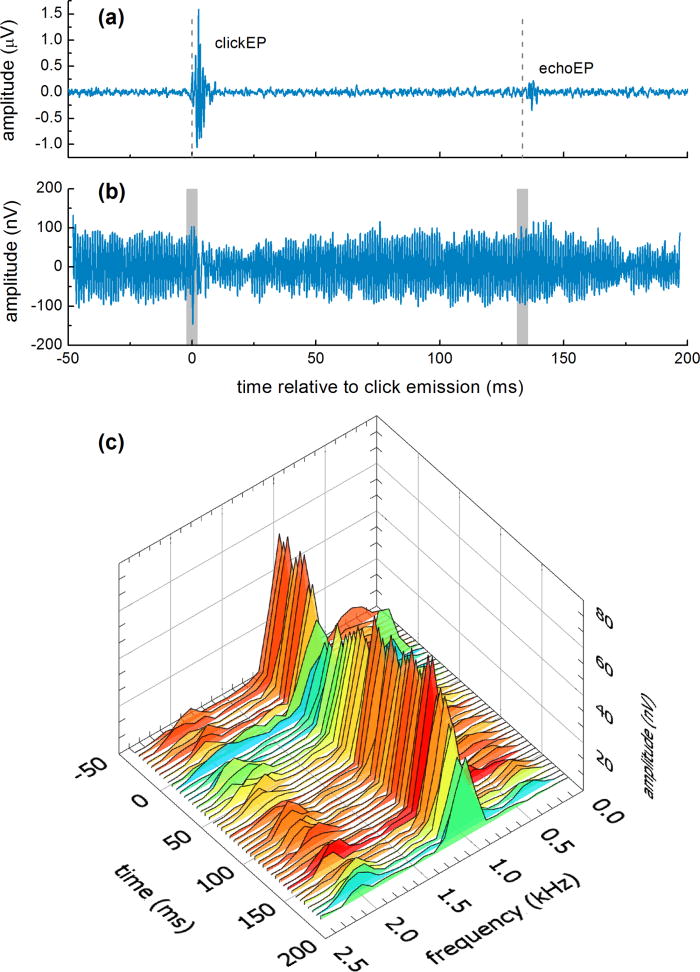 Using the auditory steady-state response to assess temporal dynamics of ...