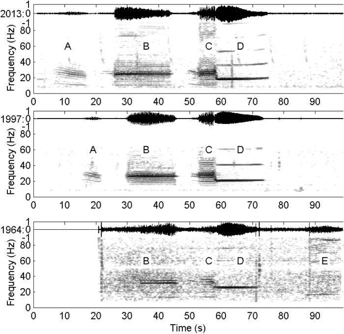 Blue whale vocalizations recorded around New Zealand: 1964–2013 | The ...