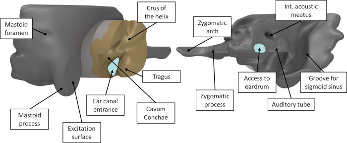 Three-dimensional finite element modeling of the human external ear ...
