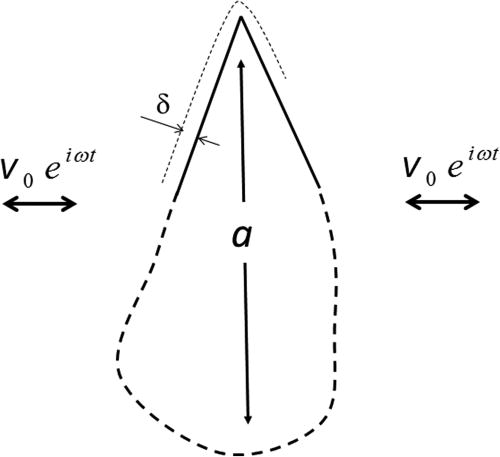 Acoustic streaming of a sharp edge | The Journal of the Acoustical ...