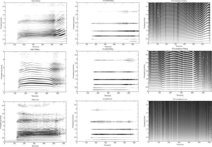 The Role Of Spectro Temporal Fine Structure Cues In Lexical Tone