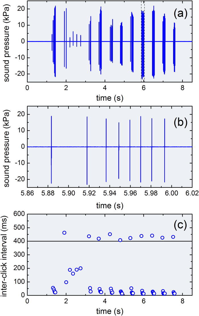 Multi-echo processing by a bottlenose dolphin operating in “packet ...