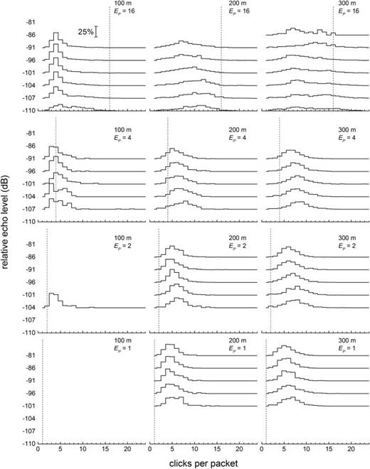 Multi-echo processing by a bottlenose dolphin operating in “packet ...