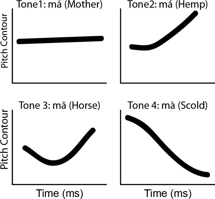 Effect of musical experience on learning lexical tone categories | The ...