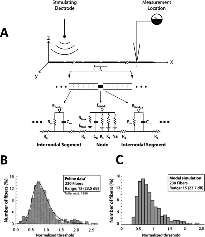 Simulating Electrical Modulation Detection Thresholds Using A Biophysical Model Of The Auditory