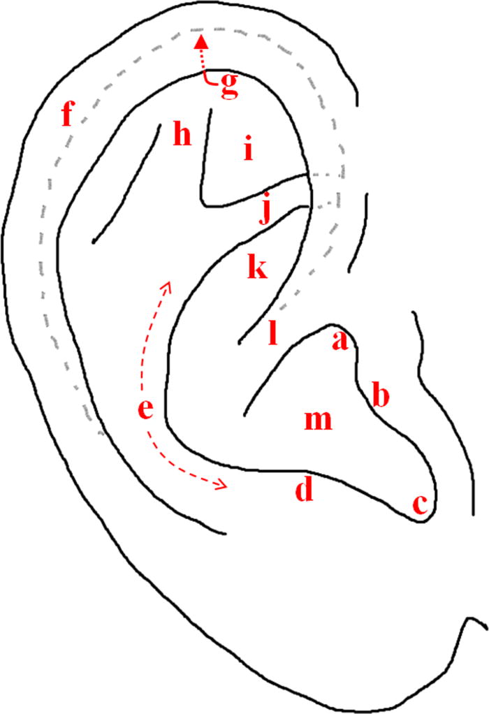Vertical normal modes of human ears: Individual variation and frequency ...
