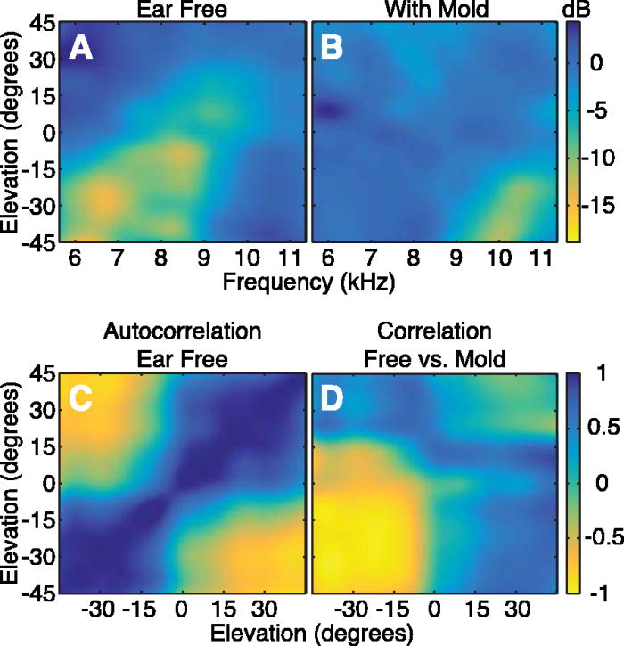 Fast and persistent adaptation to new spectral cues for sound ...