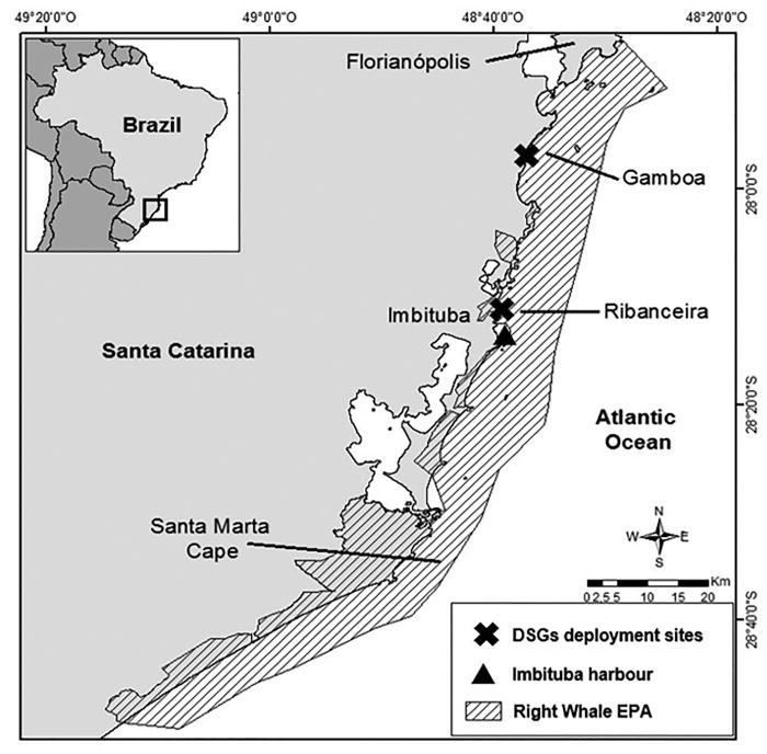 Vocalizations produced by southern right whale (Eubalaena australis ...