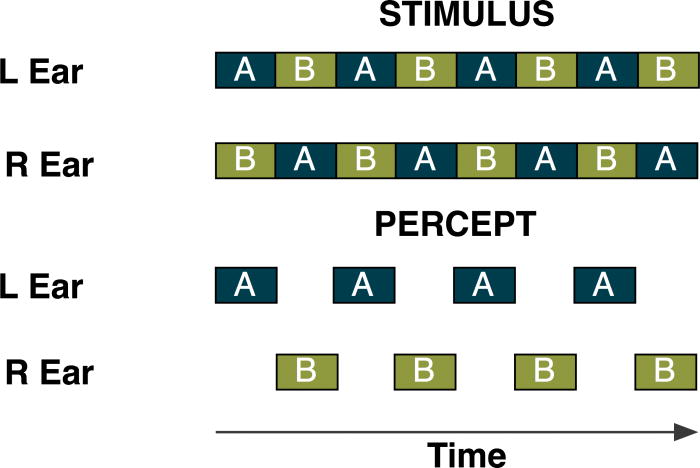 Neural correlates of attention and streaming in a perceptually ...
