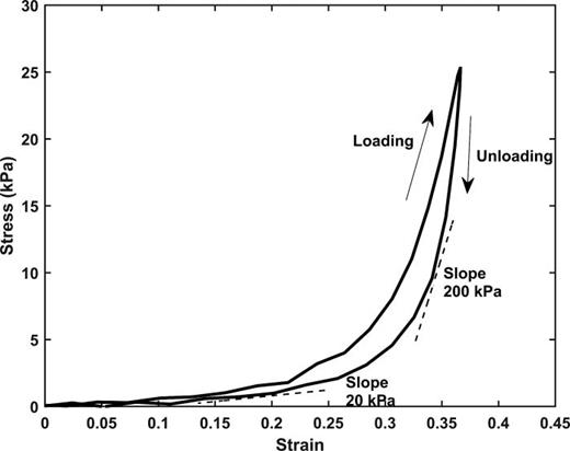 Mechanics of human voice production and control | The Journal of the ...