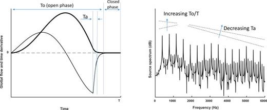 Mechanics of human voice production and control | The Journal of the ...