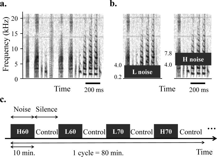 Effects of background noise on acoustic characteristics of Bengalese ...