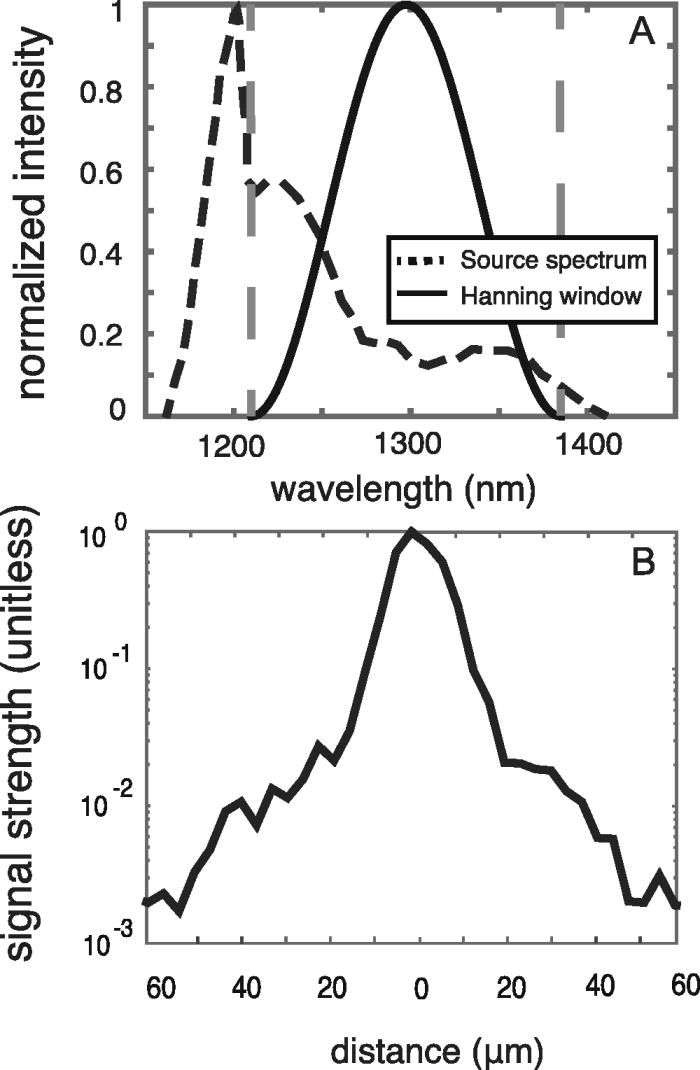 Signal competition in optical coherence tomography and its relevance ...