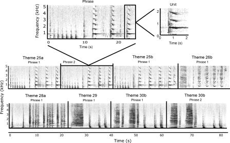 The devil is in the detail: Quantifying vocal variation in a complex ...