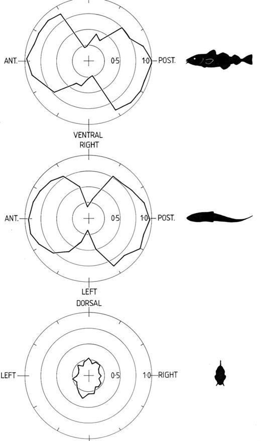 The importance of particle motion to fishes and invertebrates | The ...