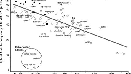 Comments on “Killer whale (Orcinus orca) behavioral audiograms” [J ...