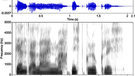 Irrelevant speech effects with locally time-reversed speech: Native vs ...