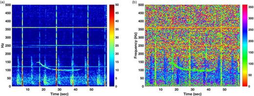 Displaying bioacoustic directional information from sonobuoys using ...