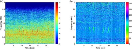 Displaying bioacoustic directional information from sonobuoys using ...