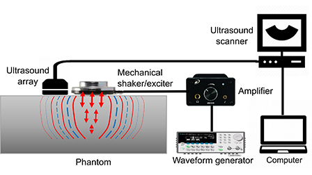 Reconstruction of shear wave speed in tissue-mimicking phantoms from ...